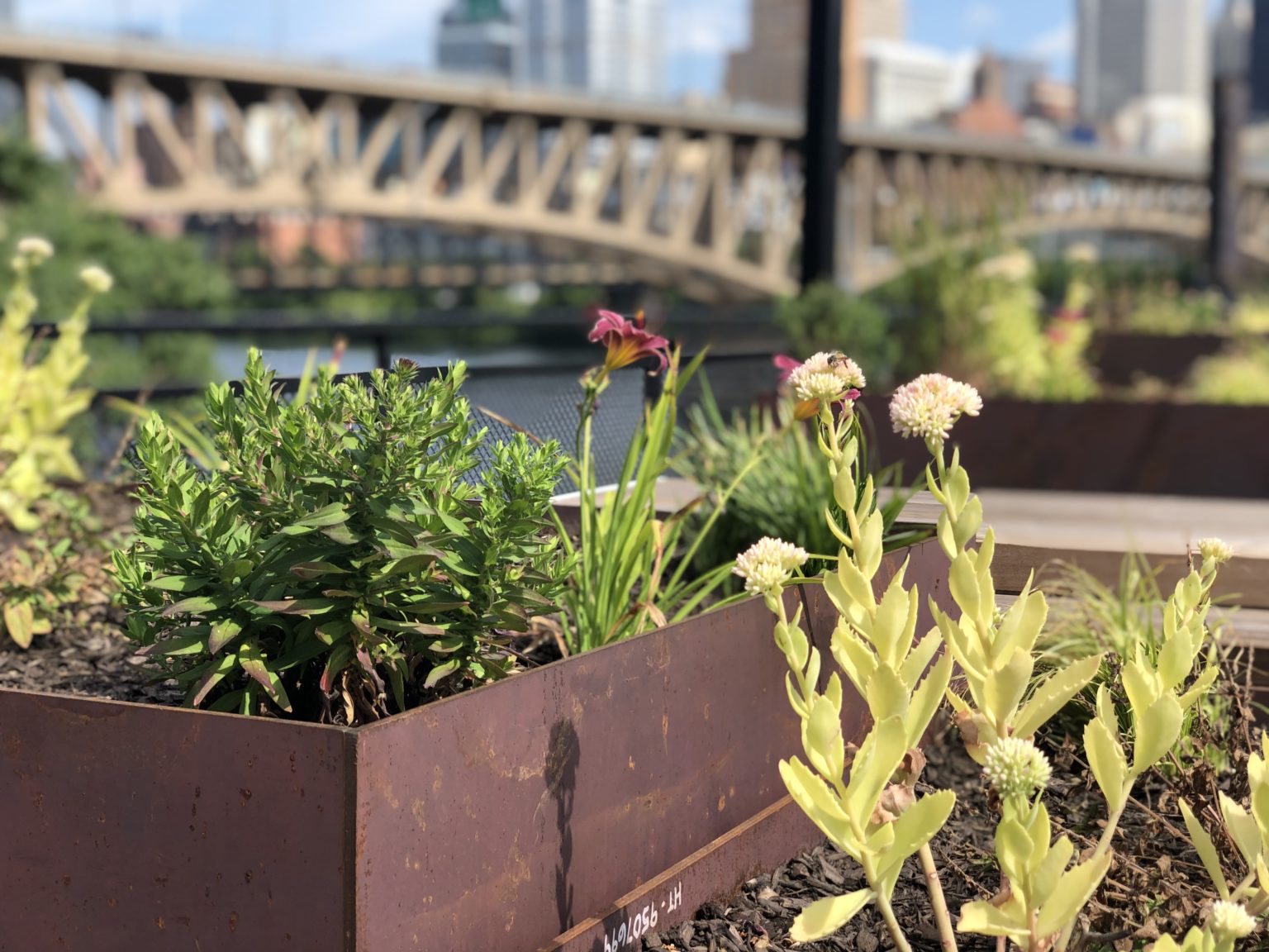 The Highline is Pittsburgh's new elevated riverfront green space on the ...